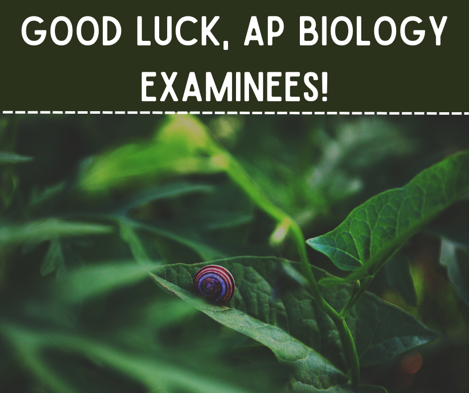 Live Feed | Johnson Central High School