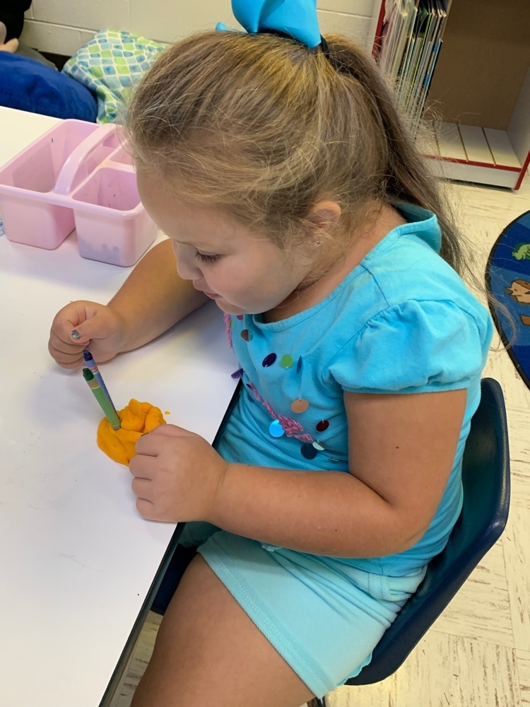 Live Feed | Flat Gap Elementary School