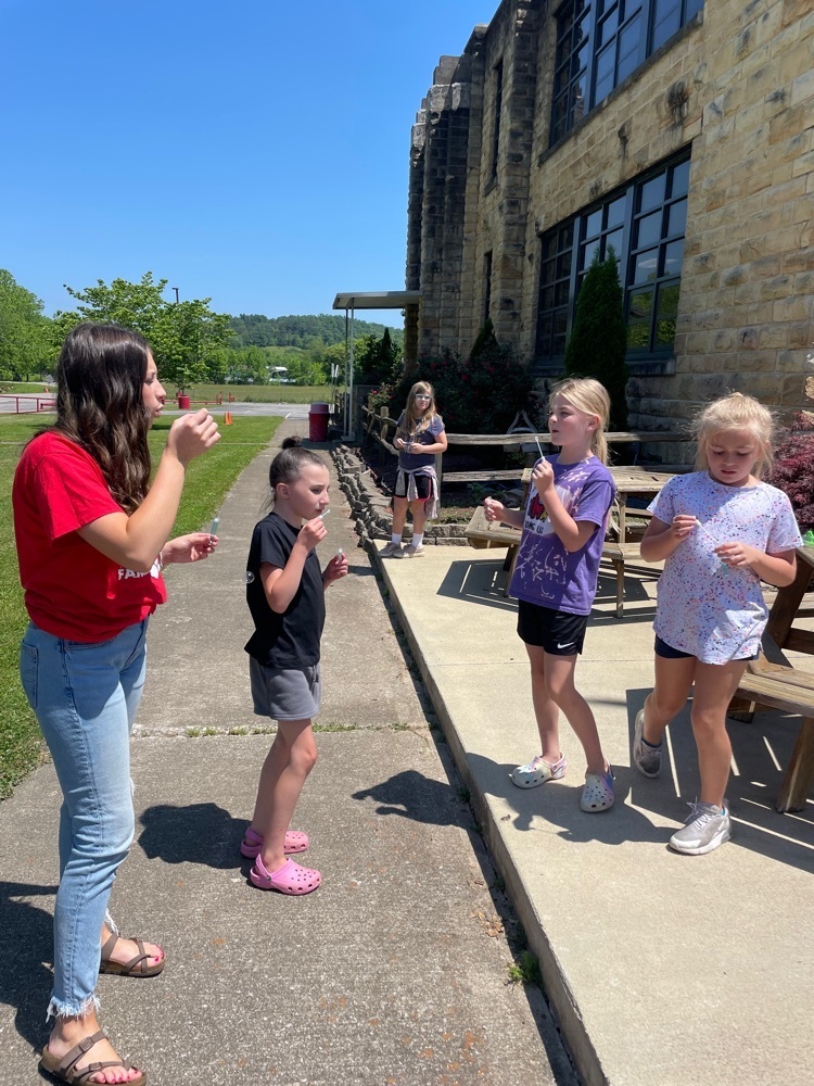 Live Feed | Flat Gap Elementary School